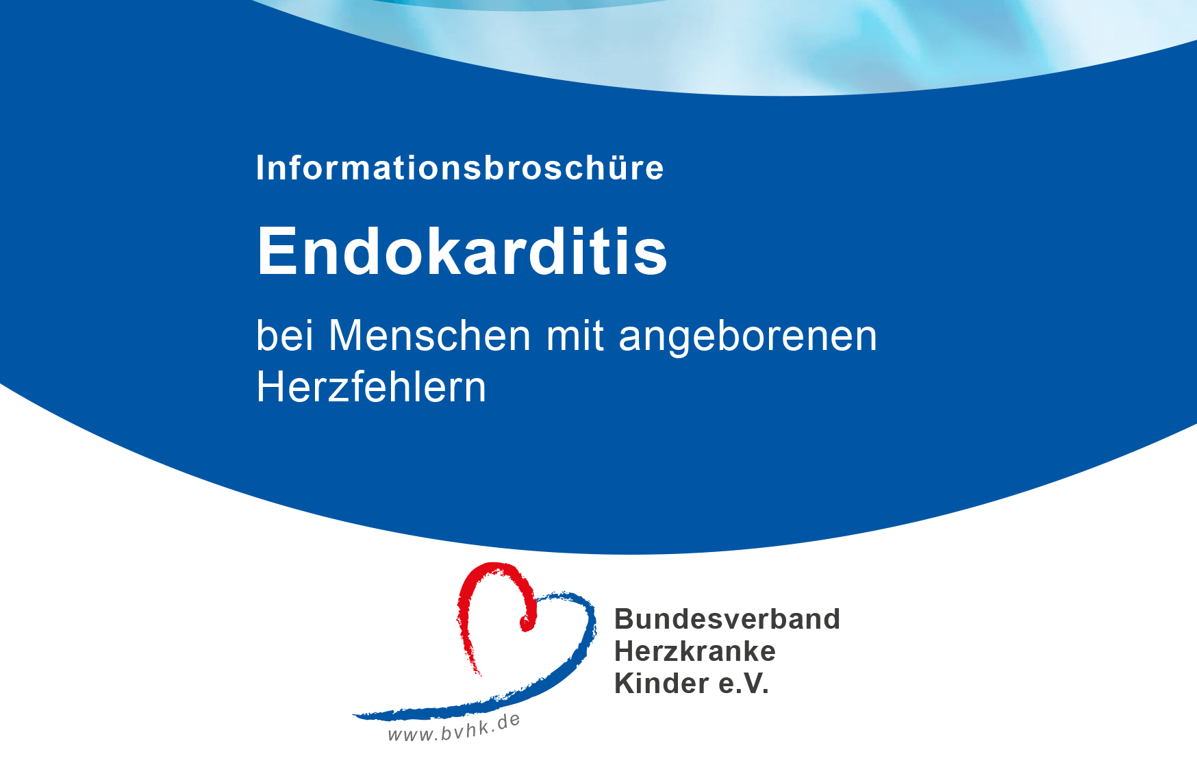 Prothesen Endokarditis Leitlinie – QIZR